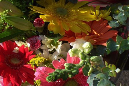 SIMBOLISTICA FLORILOR