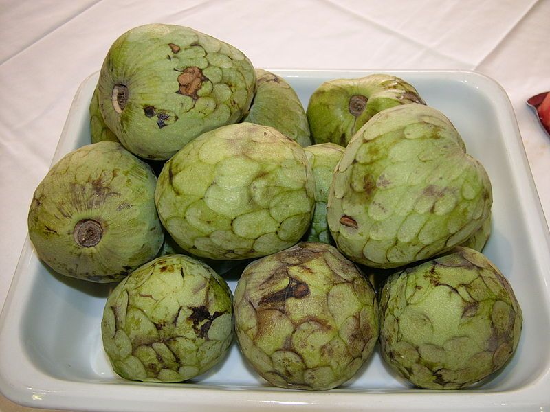 CE ESTE CHERIMOYA?