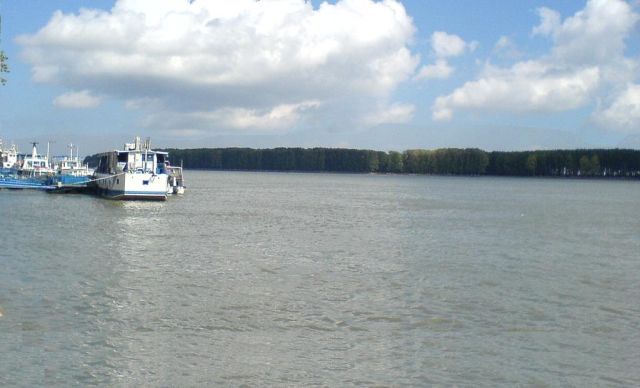 DUNAREA, SINGURUL FLUVIU DIN EUROPA AL CARUI ECOSISTEM E AMENINTAT