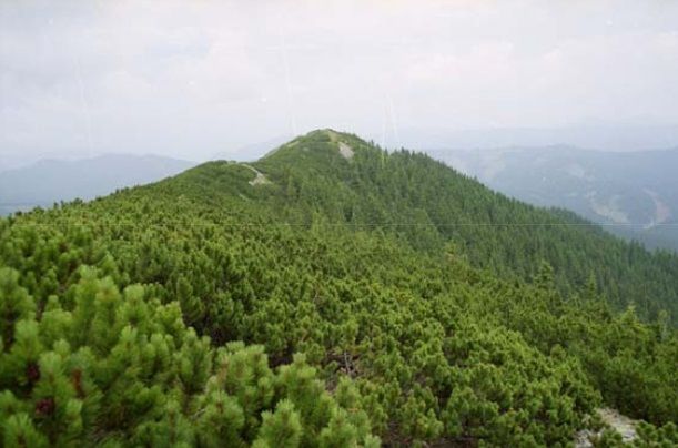 PARCUL NATURAL PUTNA VRANCEA