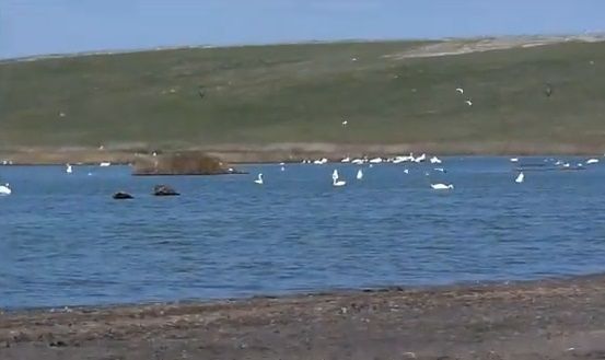 REZERVATIA MIXTA SARATURI MURIGHIOL