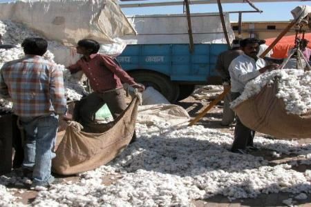 BUMBACUL: ESTE CU ADEVARAT O TEXTURA SANATOASA?