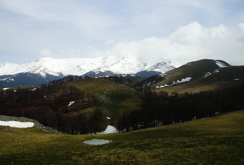 PARCUL NATIONAL DEFILEUL JIULUI