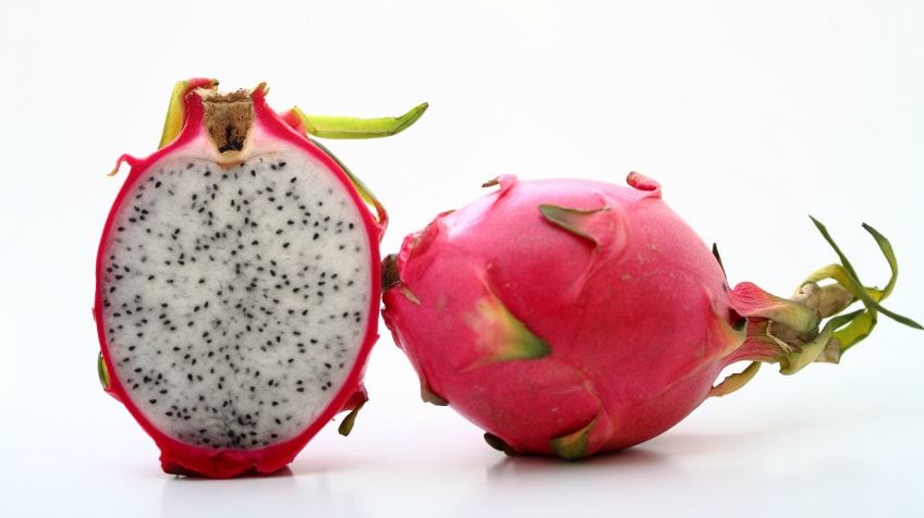 CINCI FRUCTE NEOBISNUITE