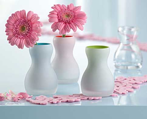 GERBERA - PATA DE CULOARE DIN LOCUINTA