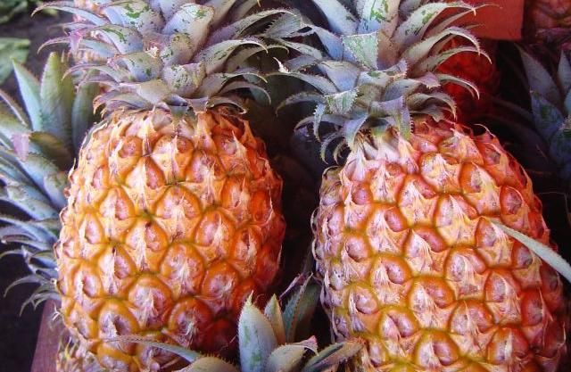 CUM SA OBTINEM UN ANANAS DIN FRUCT