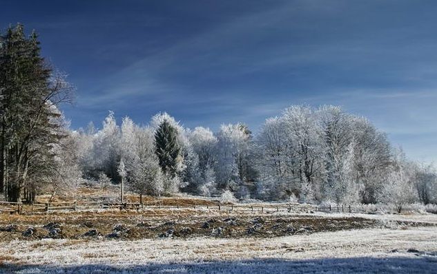 PARCUL NATIONAL SEMENIC – CHEILE CARASULUI