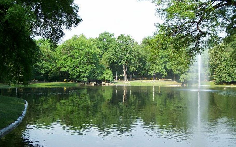 PARCUL NATURAL