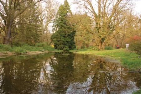 PARCUL DENDROLOGIC SIMERIA, JUD. HUNEDOARA