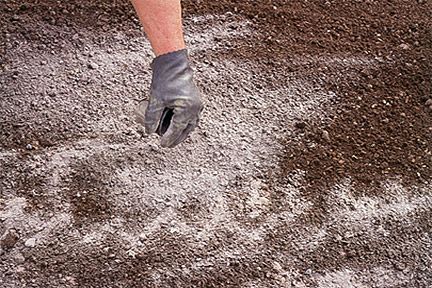 ALCALINITATEA SI ACIDITATEA SOLULUI