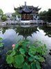 GRADINA CHINEZEASCA DIN PORTLAND