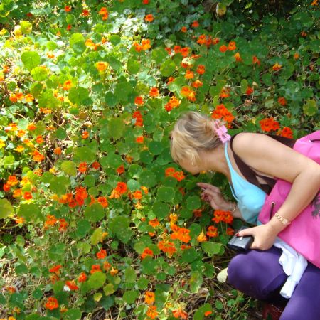 CONDURASI DE CANARIA